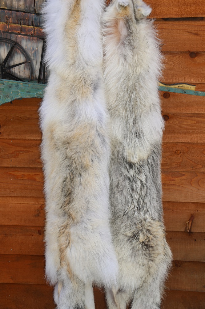 Wolf Hide