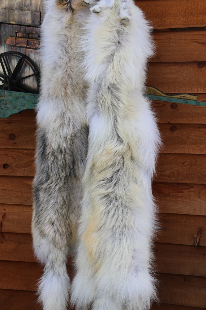 Wolf Hide